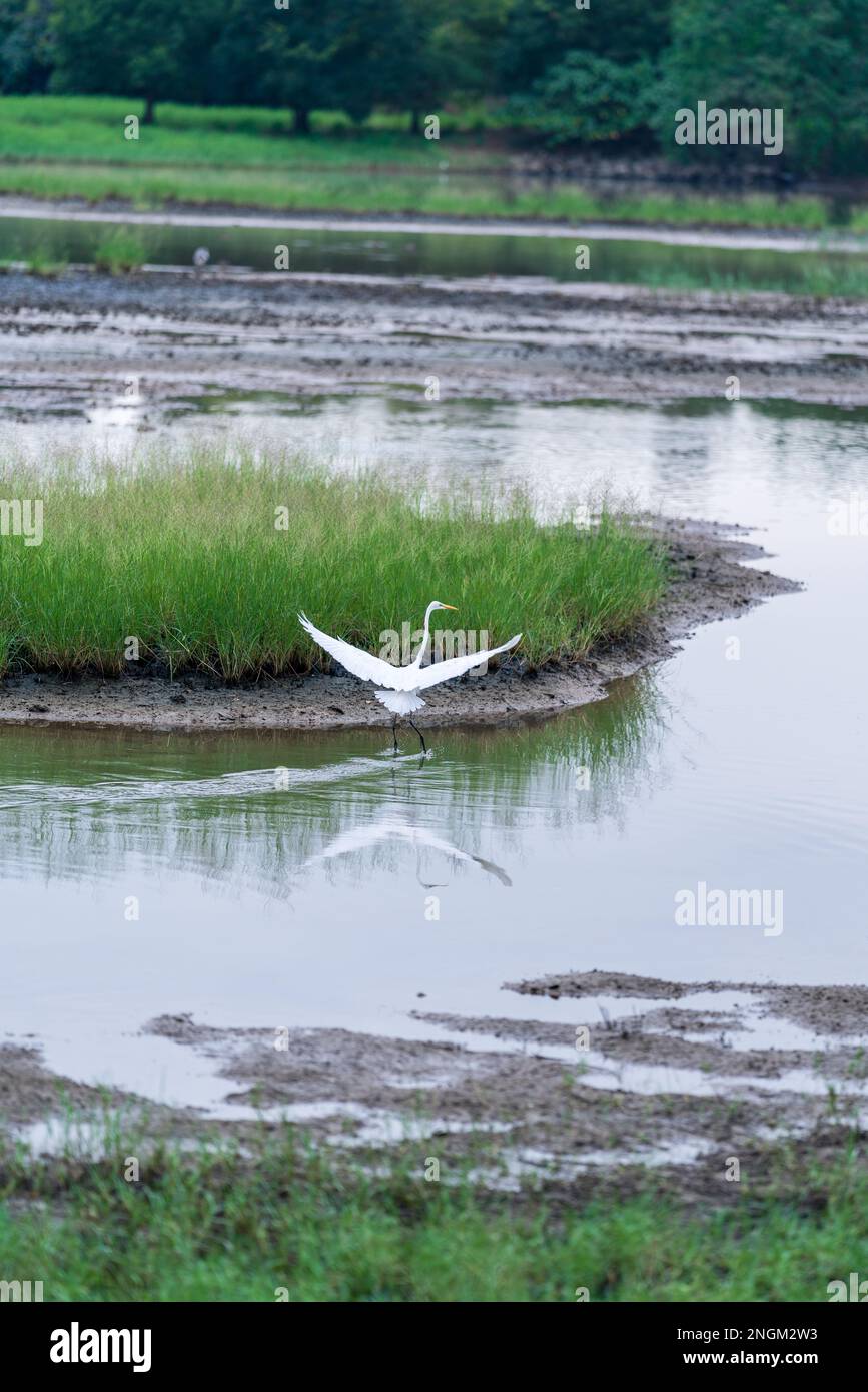 Hong Kong Wetland Park, 2022 Stock Photo - Alamy