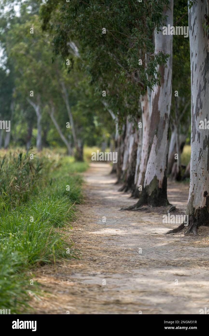 Mai Po Wetlands, New Territory, Hong Kong Stock Photo - Alamy