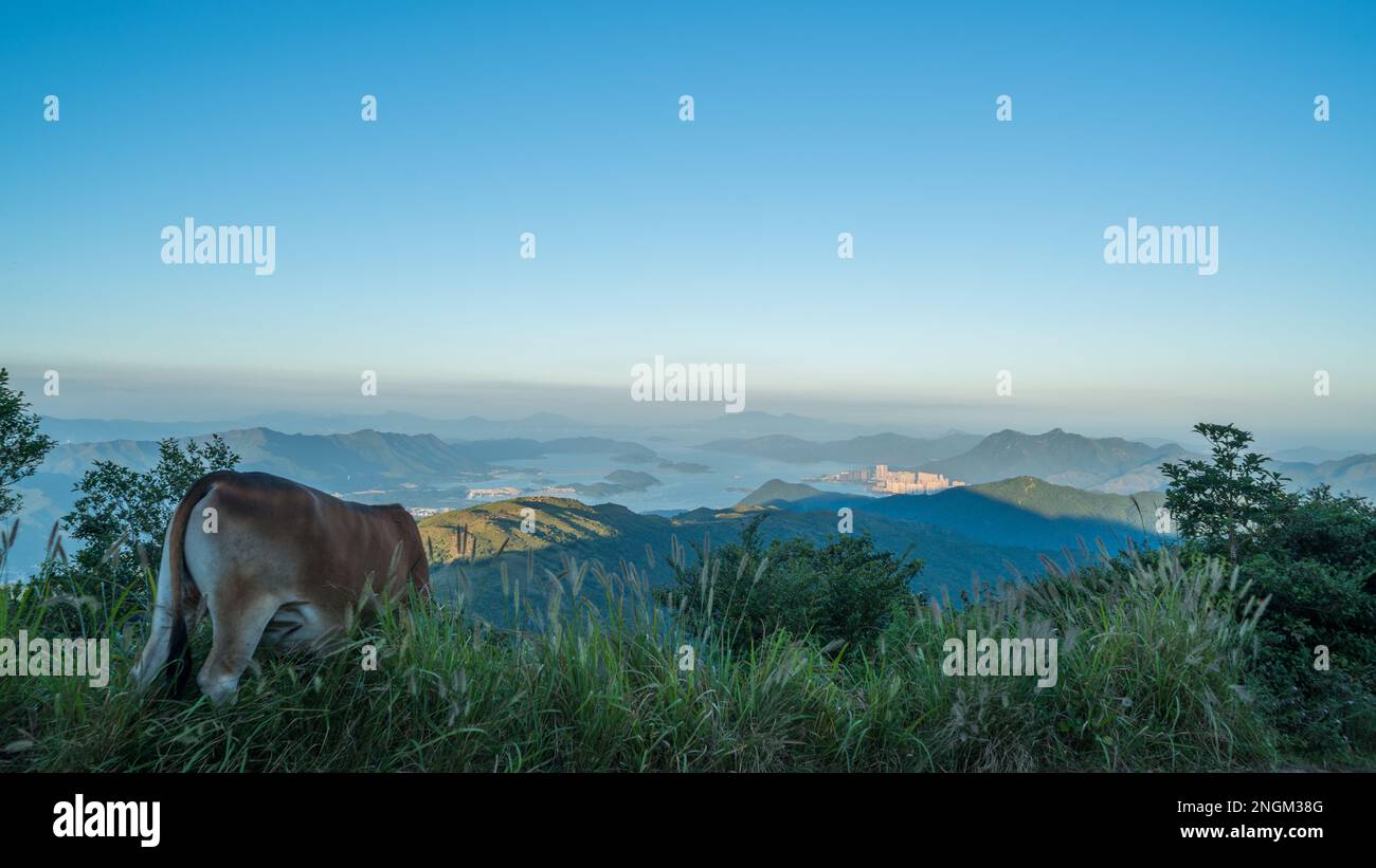 Tai mo shan hi-res stock photography and images - Alamy