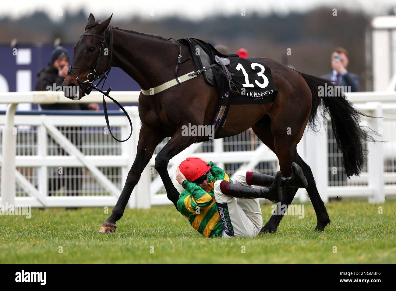 Jockey Aidan Coleman is unseated from horse Regal Encore in the Lk ...