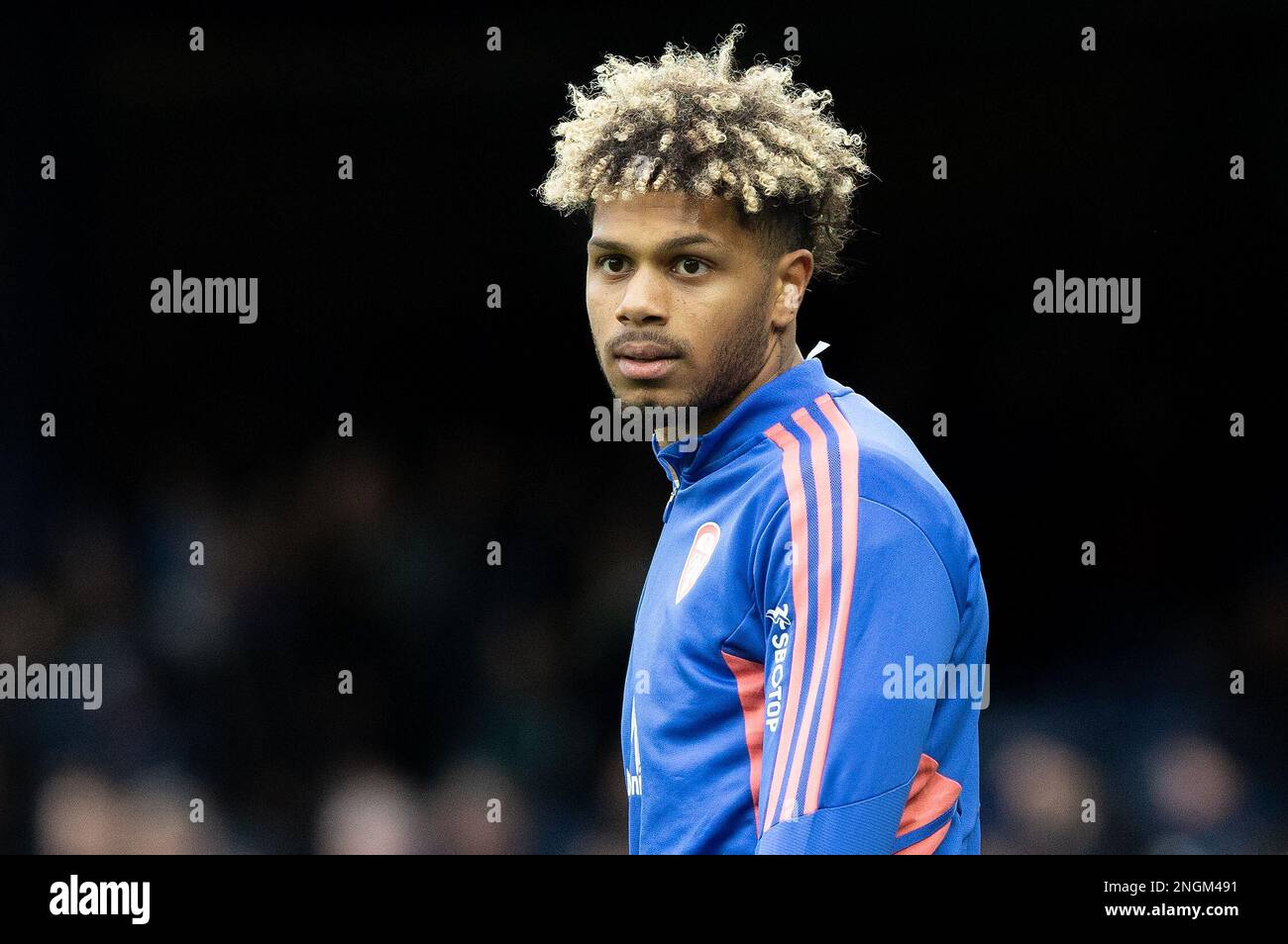 Georgina rutter hi-res stock photography and images - Alamy