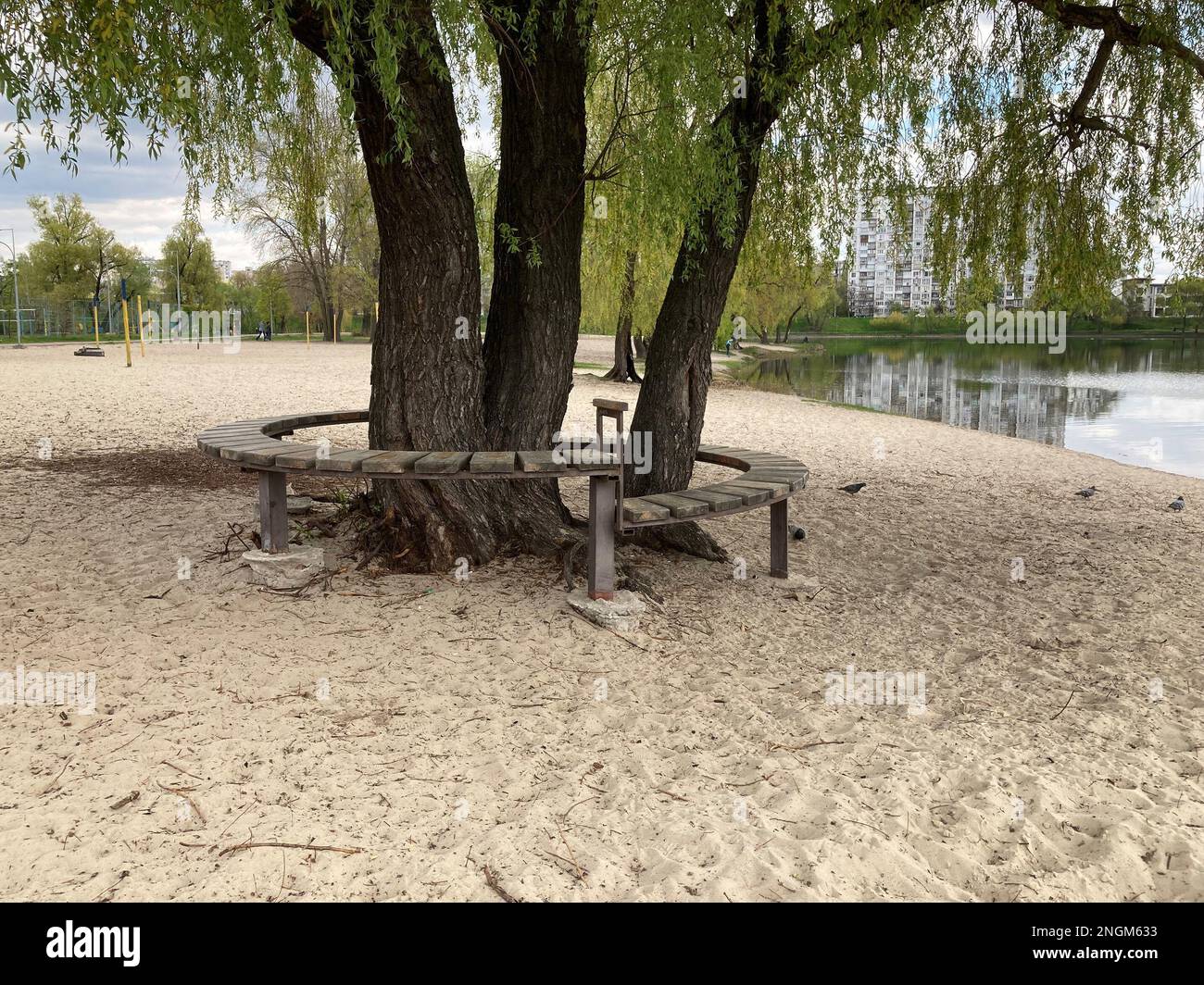 Wooden bench around a big tree in the garden. Circular bench around an ...