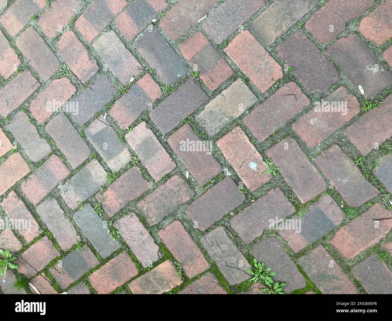 Yellow stone tiles masonry closeup background. the texture of yellow ...