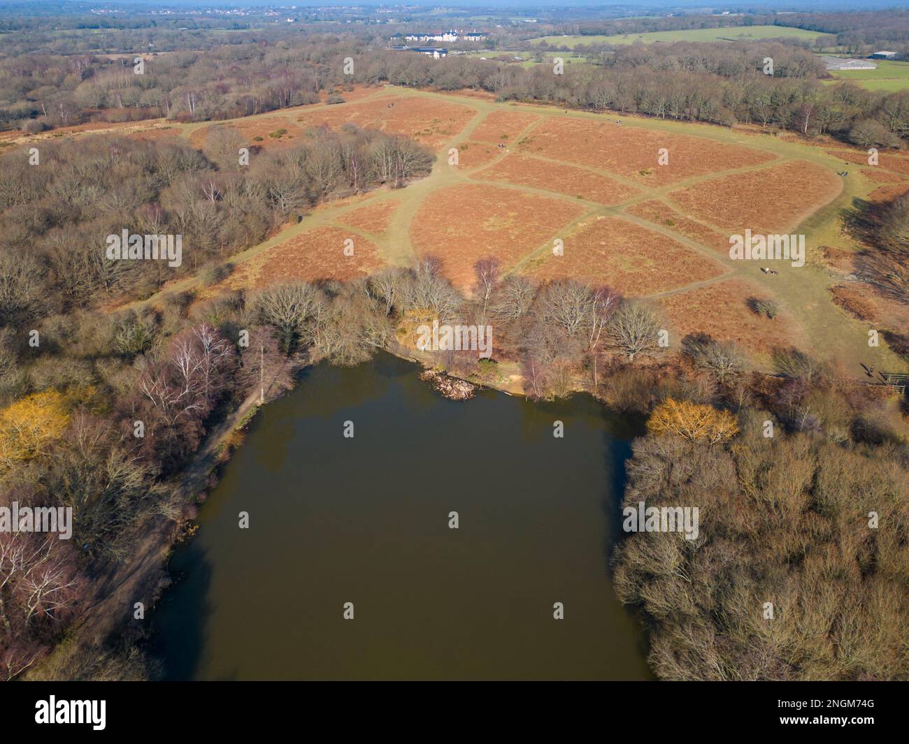 aerial view of the lake in ditchling common country park in east sussex ...