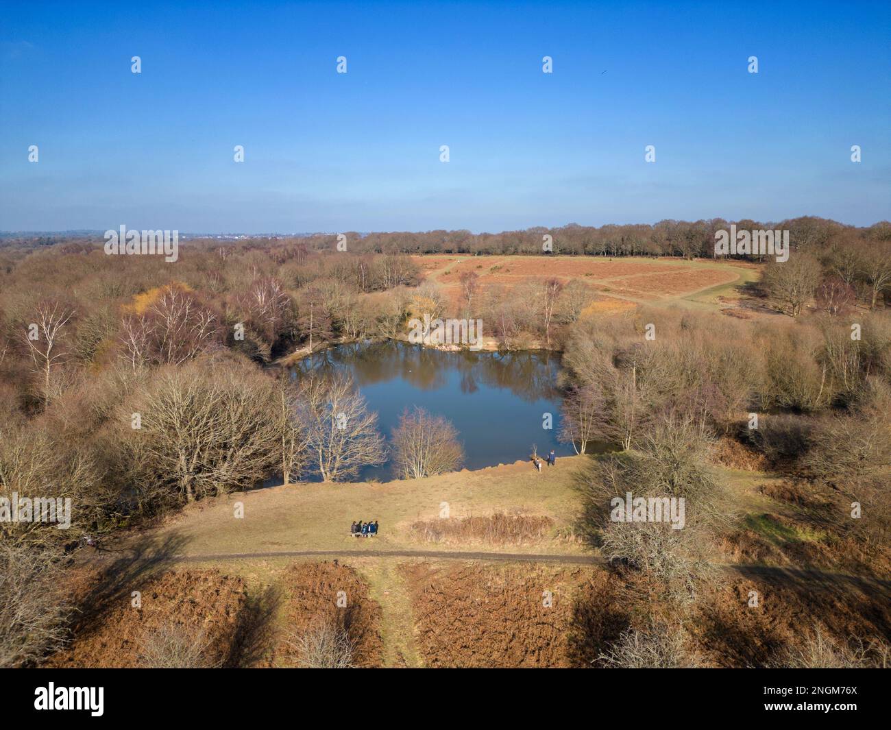 aerial view of the lake in ditchling common country park in east sussex ...