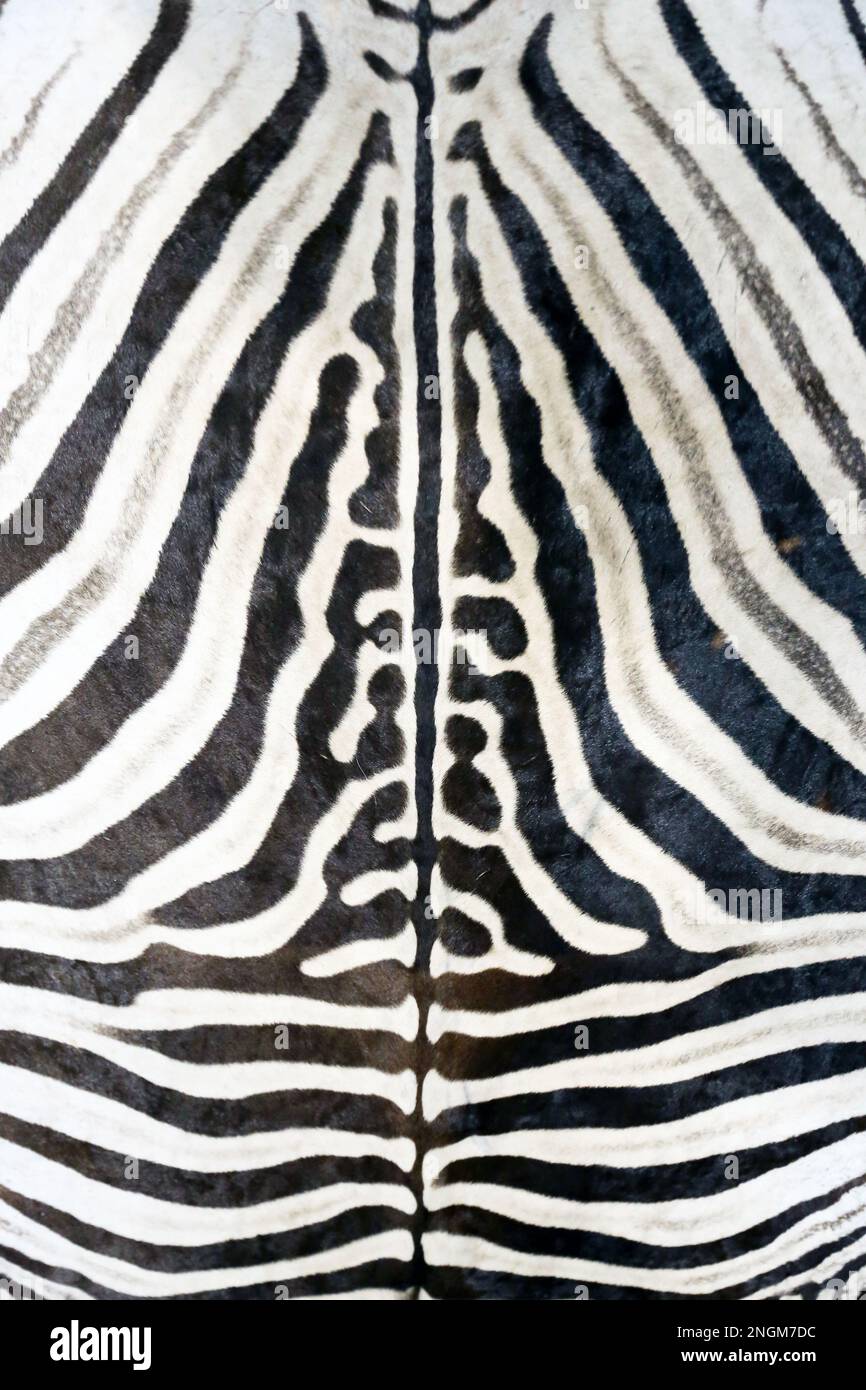 South african vector patterns hi-res stock photography and images - Alamy