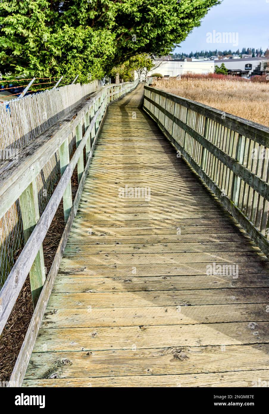 A wooden boardwalk at Edmonds Marsh in Edmonds, Washington Stock Photo ...