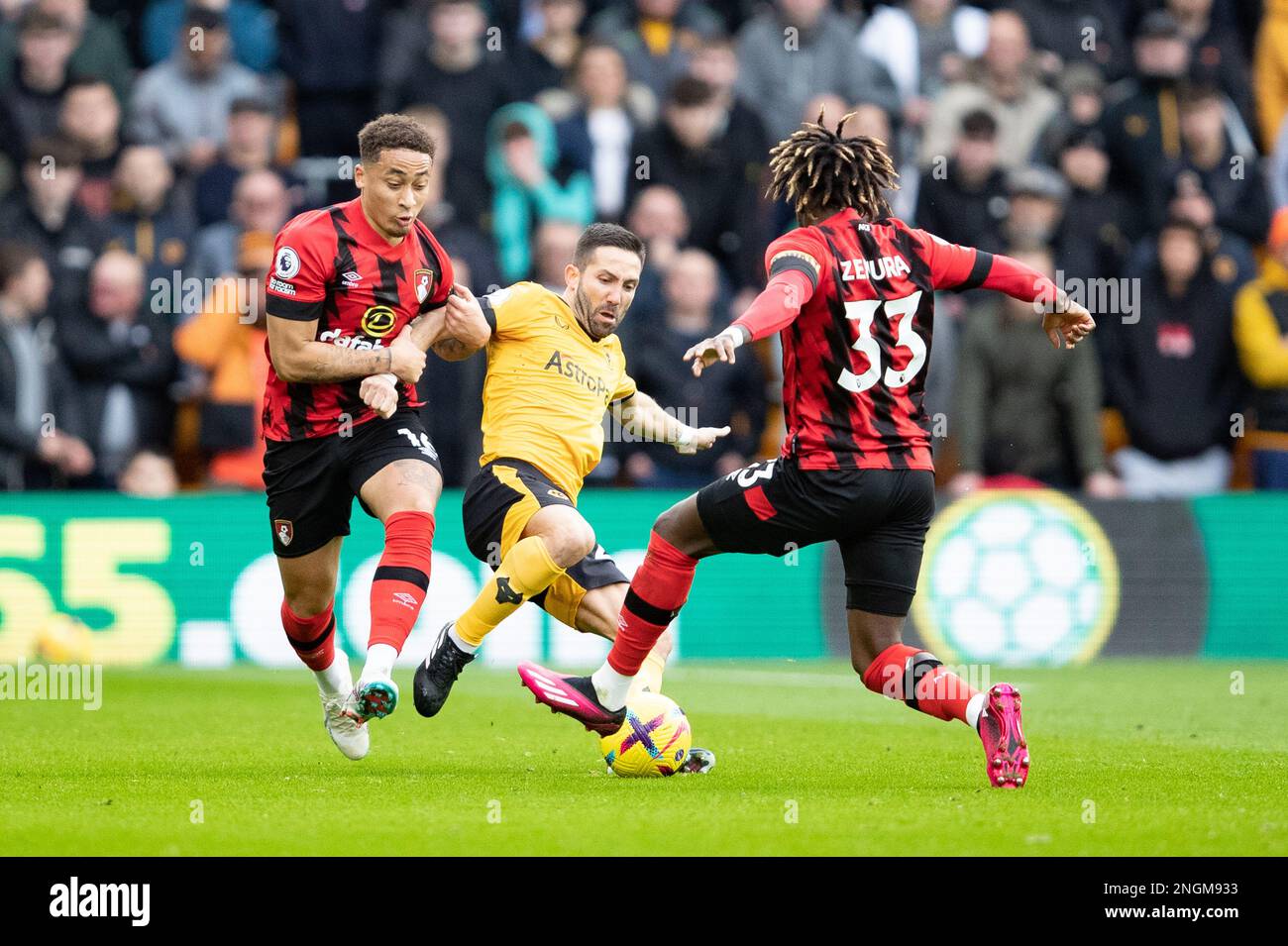 Bournemouth wolves 2023 marcus hi-res stock photography and images - Alamy