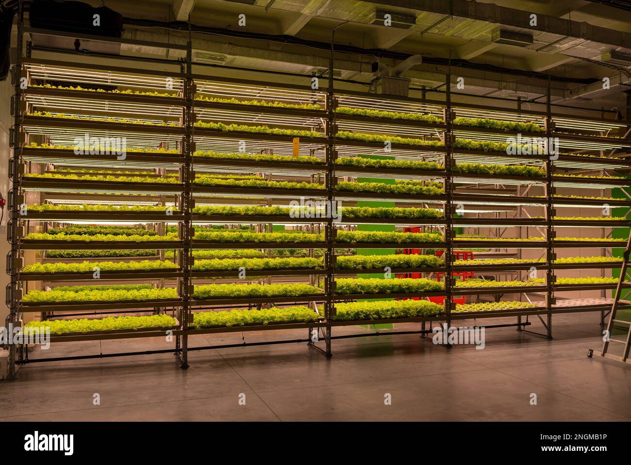 Vertical farming concept hi-res stock photography and images - Alamy