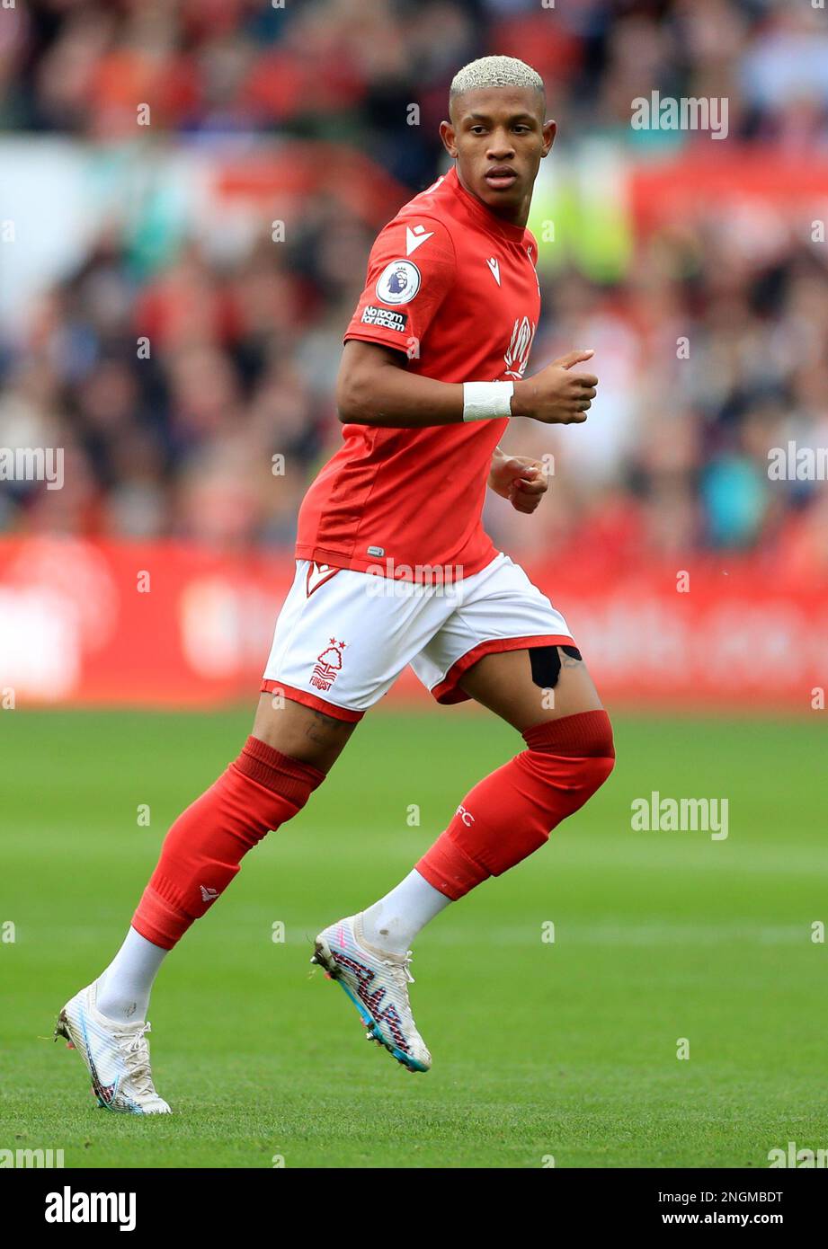 Nottingham Forest's Danilo in action during the Premier League match at ...