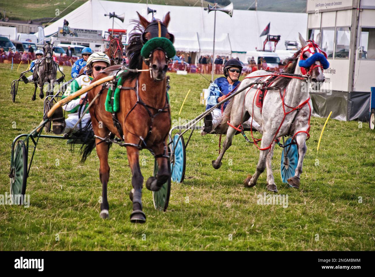 The annual Kilnsey Show held in the Yorkshire Dales featuring Harness ...