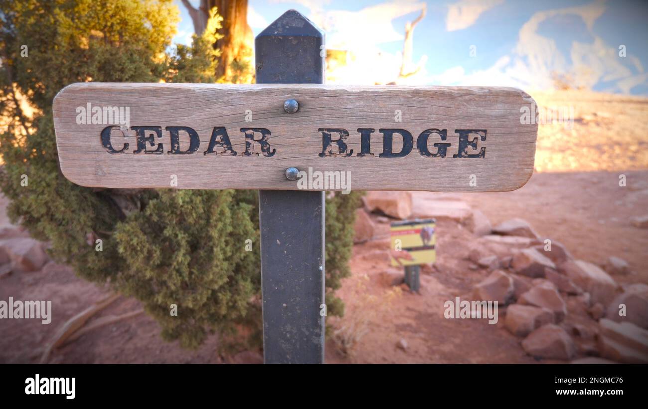 View From Cedar Ridge Point Sign At The South Kaibab Hiking Trail In ...
