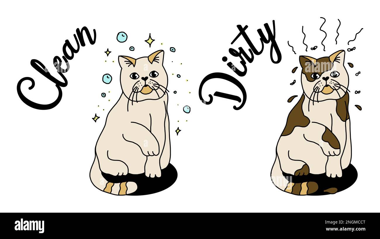 Opposites Dirty and Clean Concept Cat Illustration, Teaching Aid, Pet ...
