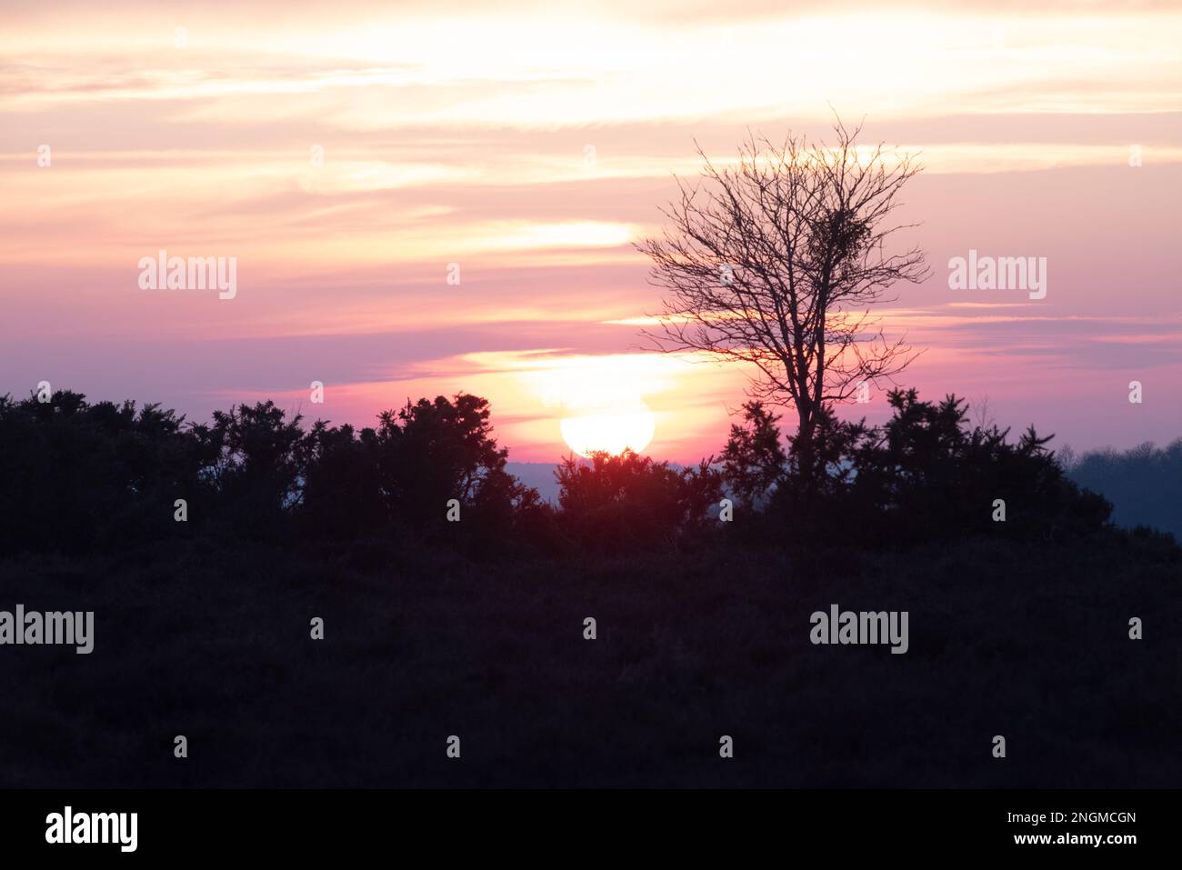 Pink sunset sky hi-res stock photography and images - Alamy