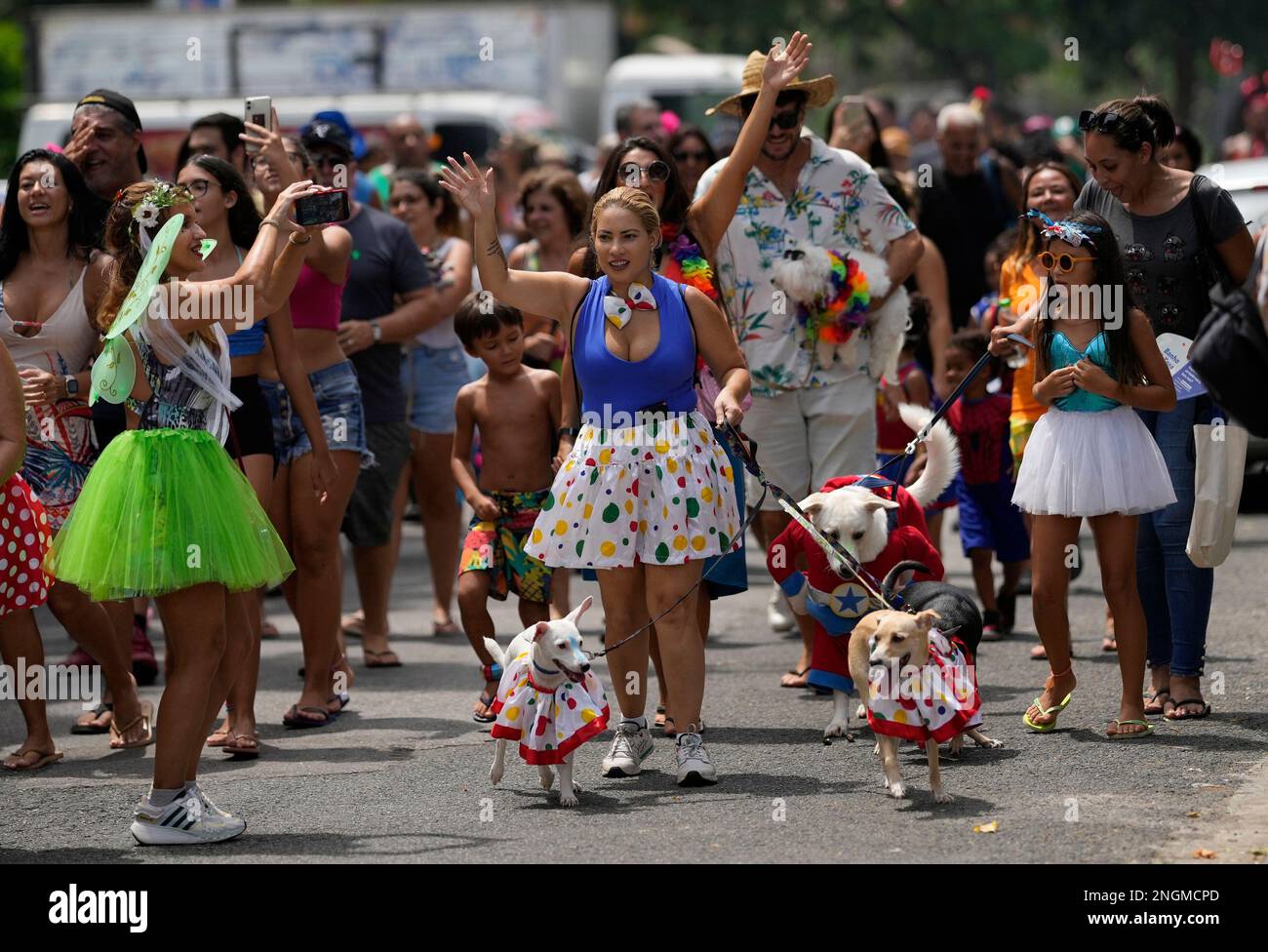 Owners and their costumed pets attend the "Blocao" dog carnival parade ...