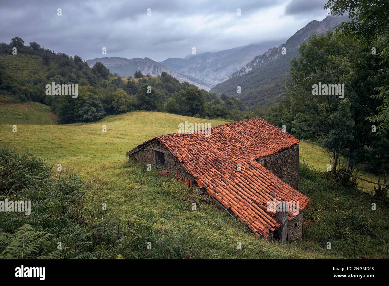 Beautiful Countryside Cottage at Picos de Europa, Asturias, Spain Stock ...