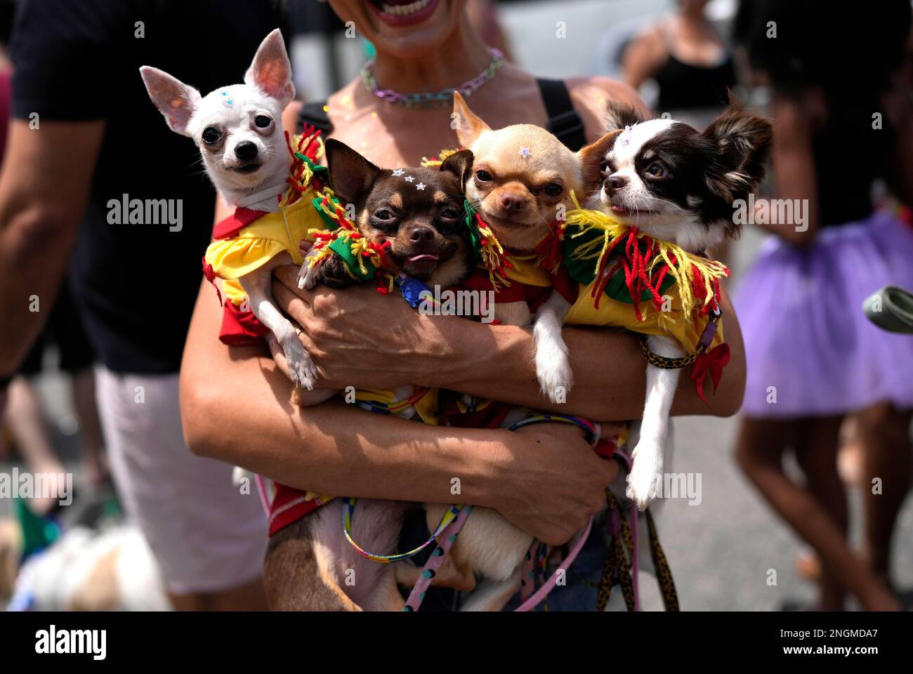 An owner holds her costumed pets during the "Blocao" dog carnival ...