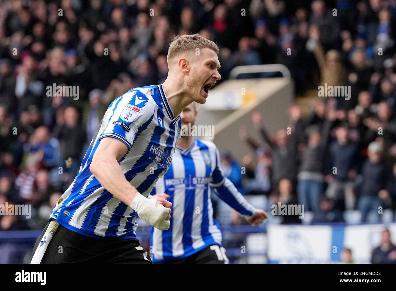 Michael Smith #24 of Sheffield Wednesday celebrates after he scores ...