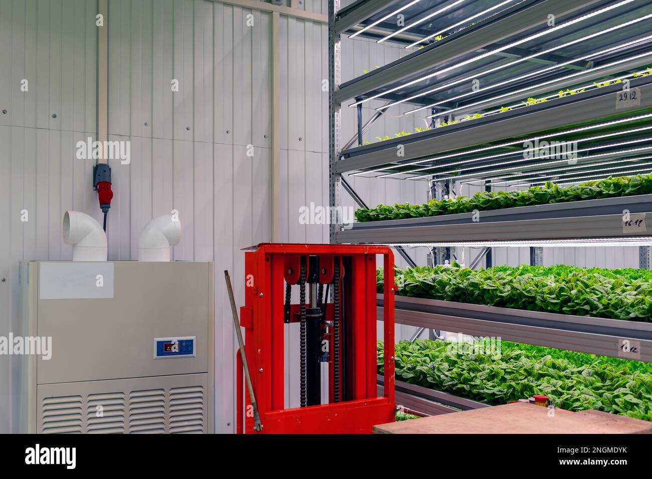 Elevator lift and transformer between racks with young microgreens in ...