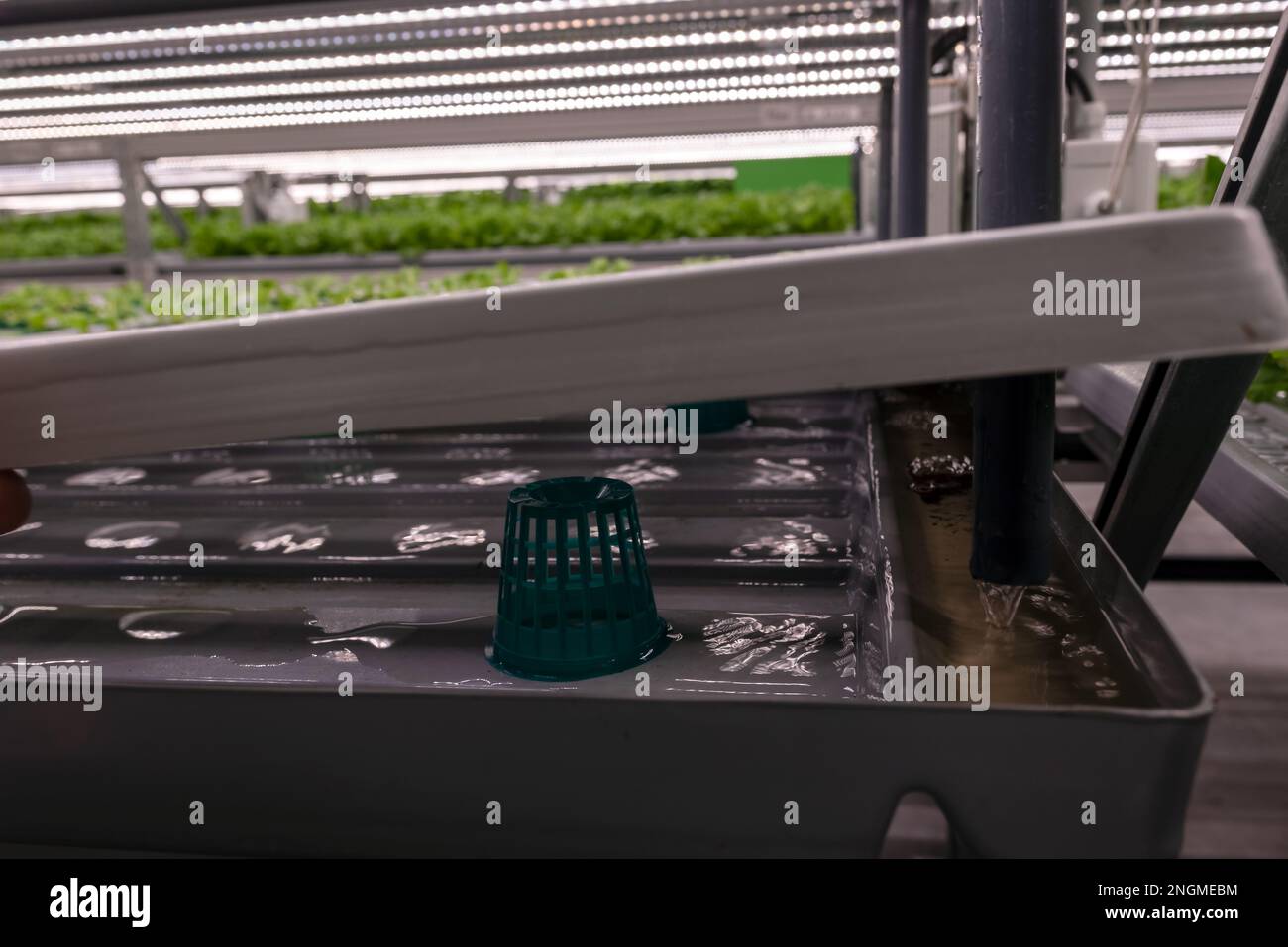 Hydroponics farming concept vertical hi-res stock photography and ...