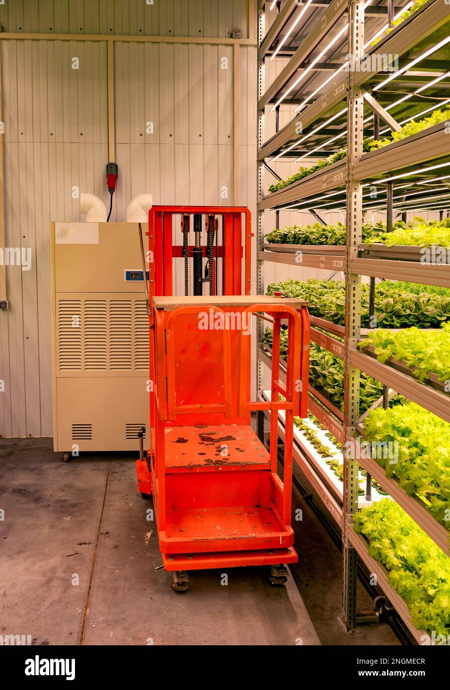 Elevator lift and transformer between racks with young microgreens in ...