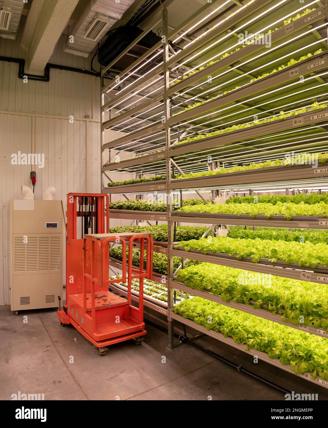 Elevator lift and transformer between racks with young microgreens in ...