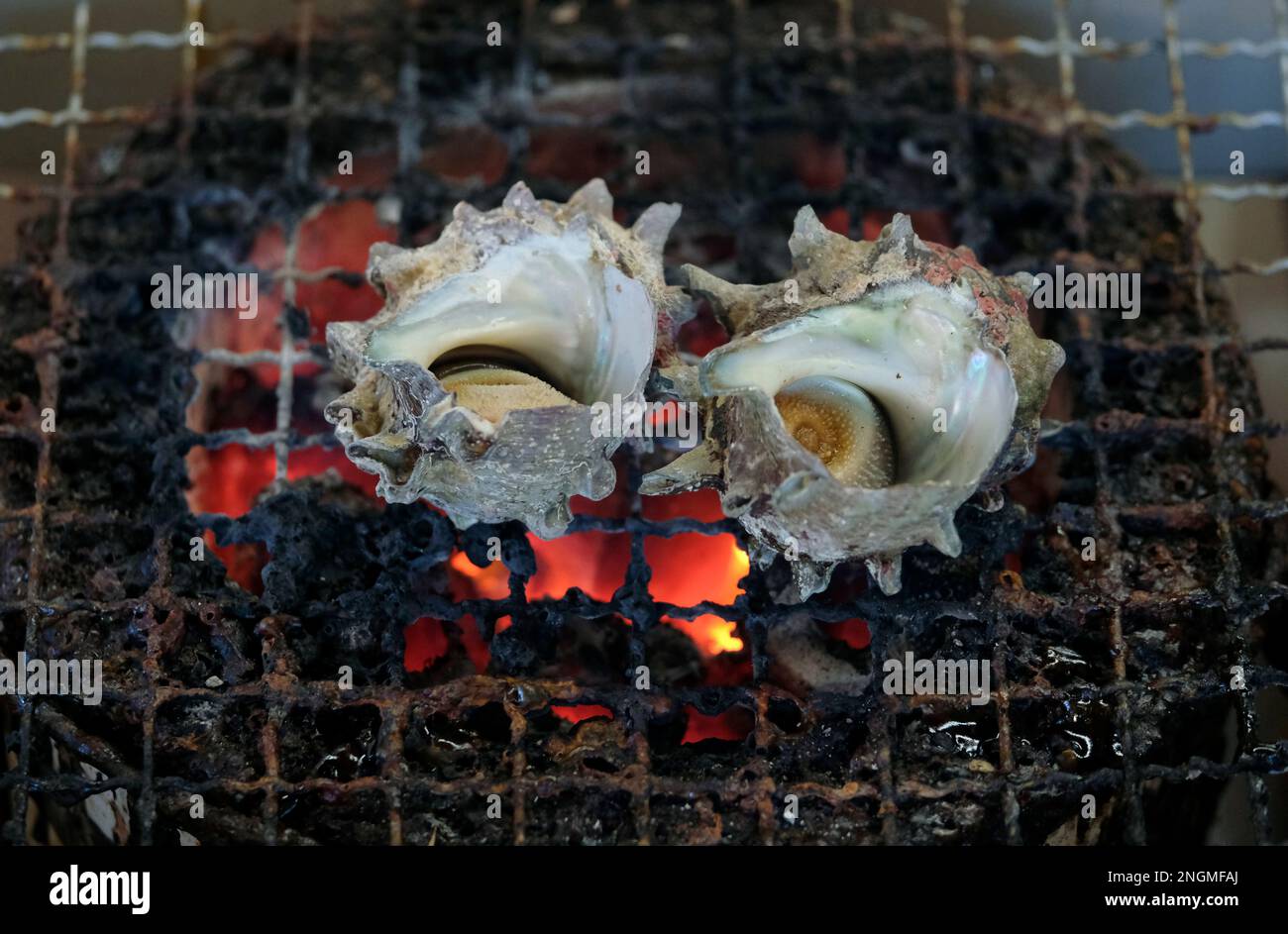 Turban shell - or "Sazae no Tsubaki" in Japanese - being grilled by a ...