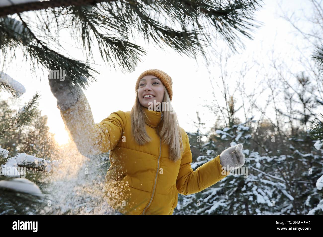 Shaking off snow hi-res stock photography and images - Alamy