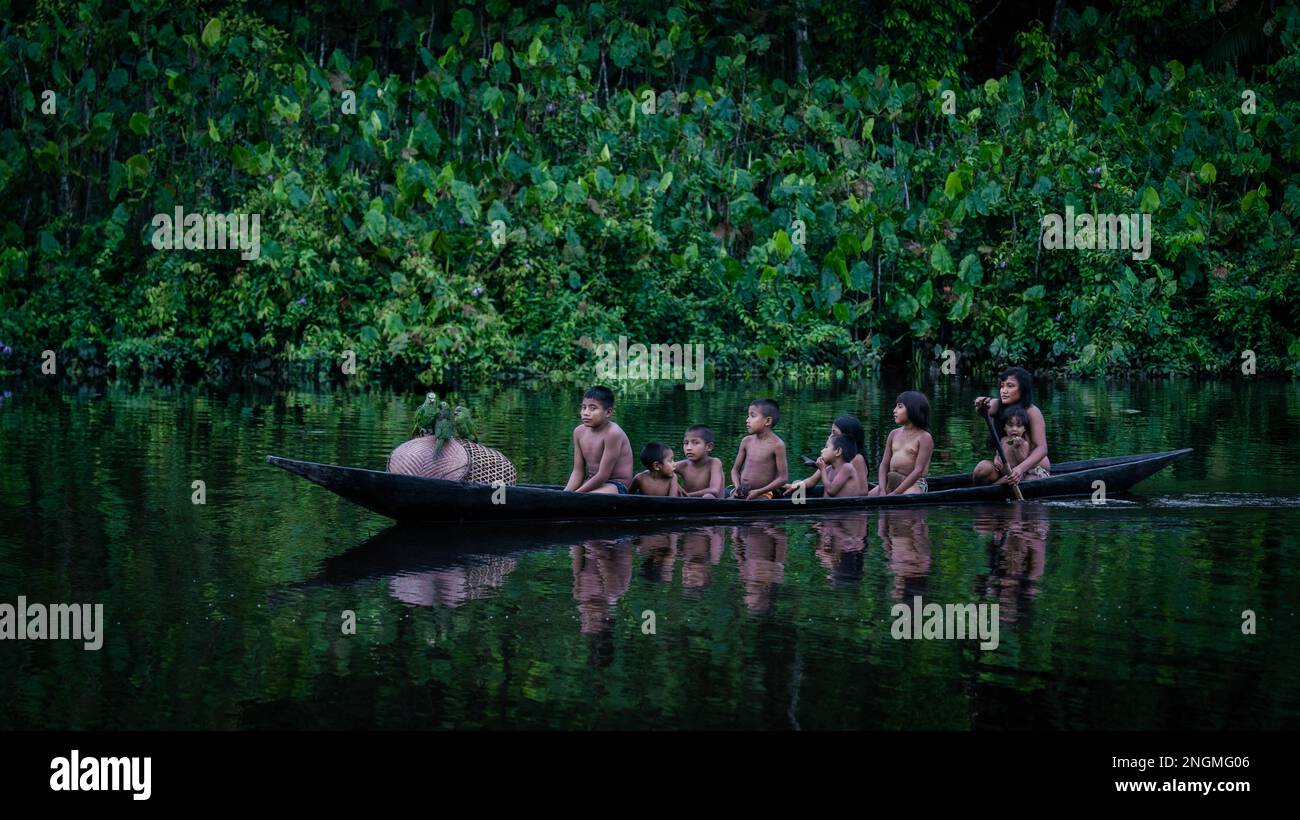 Family of native indigenous Orinoco tribe Warao swimming in traditional ...
