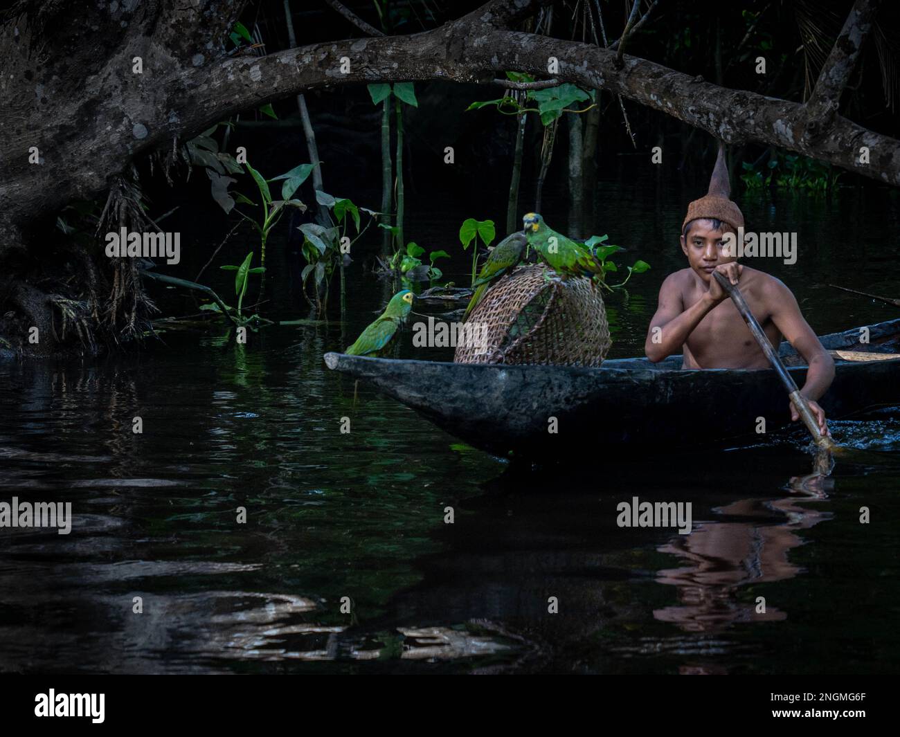 Canoe amazonia hi-res stock photography and images - Alamy