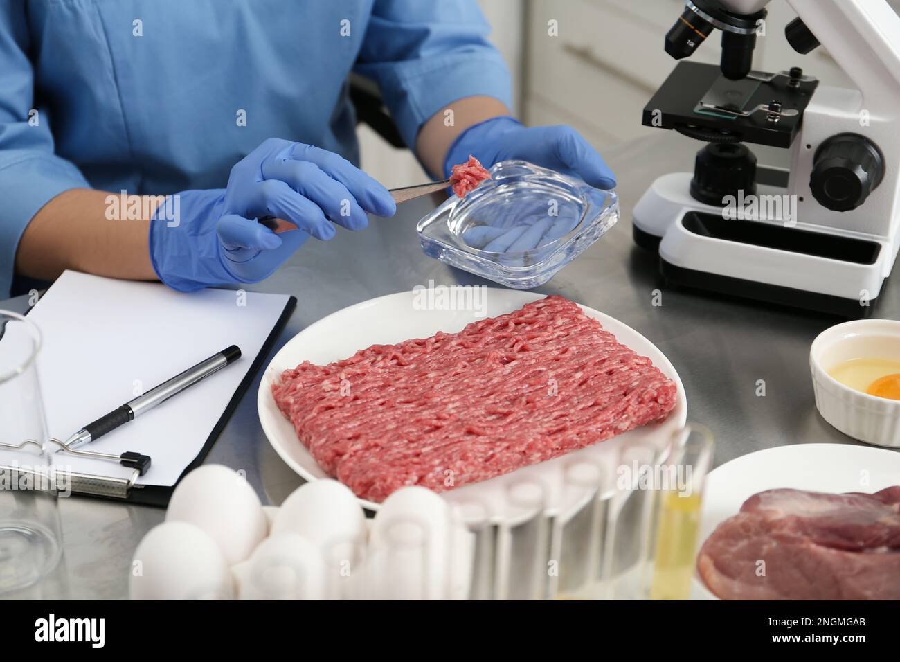 Scientist checking meat at table in laboratory, closeup. Quality ...