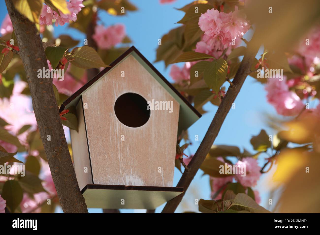 Wooden bird house on hi-res stock photography and images - Alamy