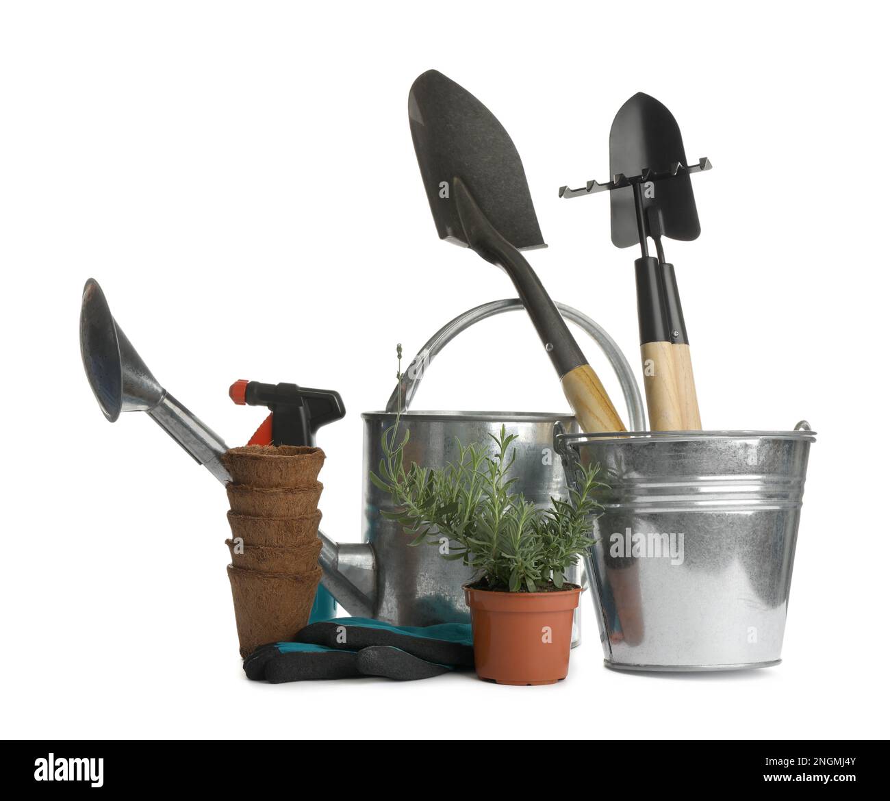 Different modern gardening tools on white background Stock Photo - Alamy