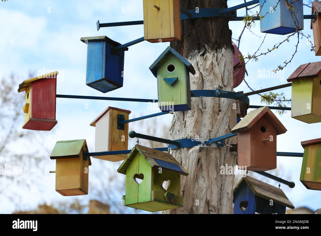Lots of colorful wooden bird houses on tree outdoors Stock Photo - Alamy
