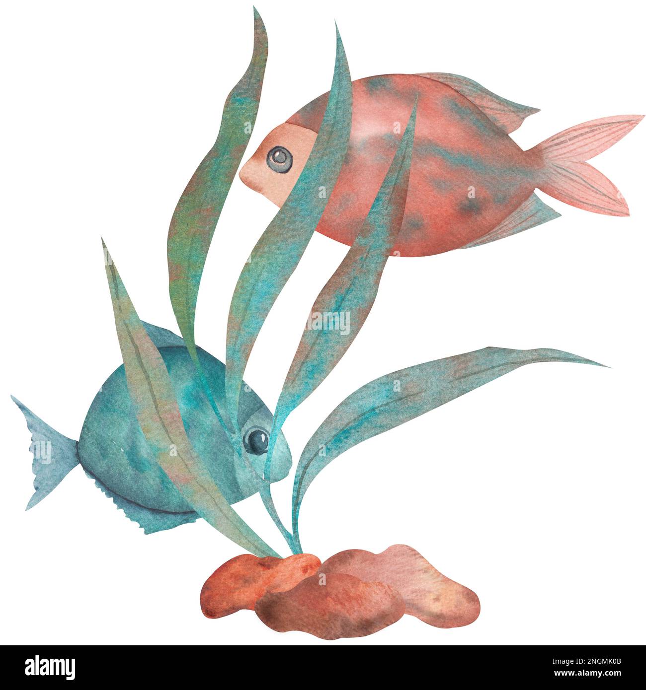 Seaweed and fish illustration in orange and turquoise colors. Aquarium ...