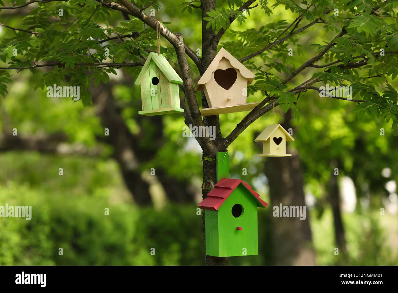 Different colorful bird houses hi-res stock photography and images - Alamy
