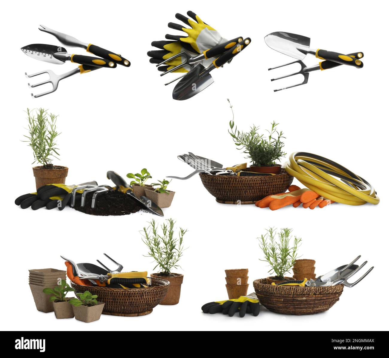 Set of different gardening tools on white background Stock Photo - Alamy