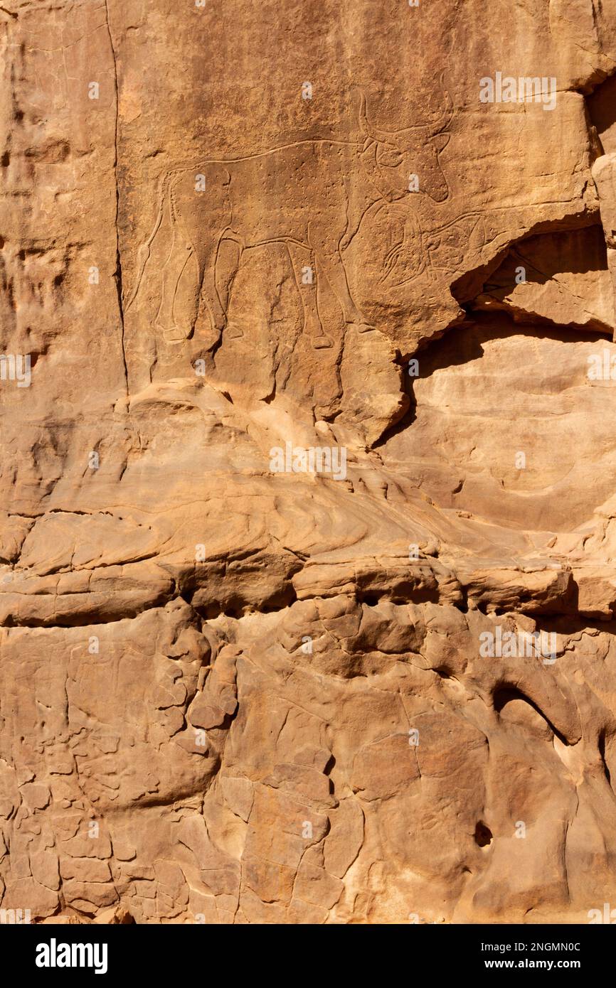 Prehistoric Petroglyphs. Beautifully preserved rock engravings ...