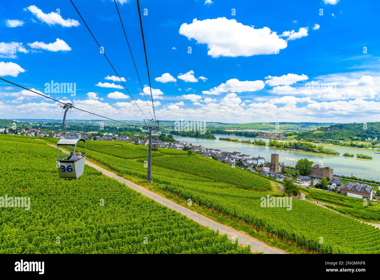 Cableway cablecar above vineyards near Rhein Rhine river in Ruedesheim ...