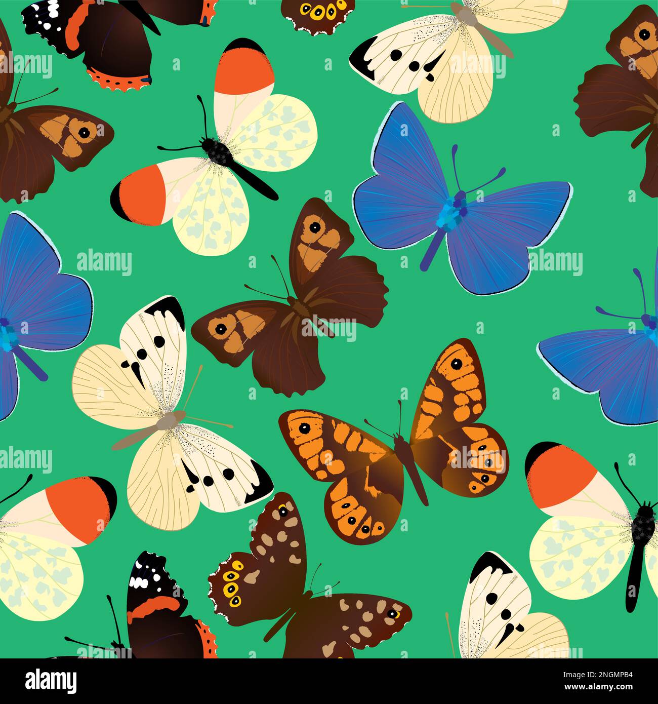 Common garden insects Stock Vector Images - Alamy