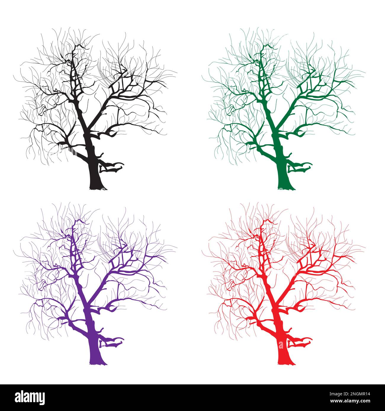 Beech tree sapling Stock Vector Images - Alamy