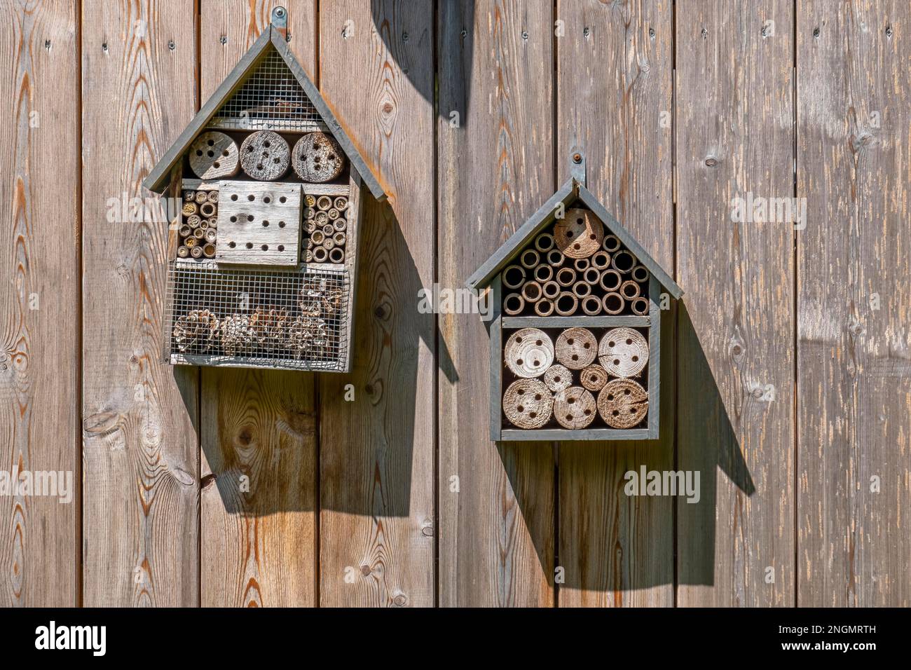 Wall with insect hotel hi-res stock photography and images - Alamy