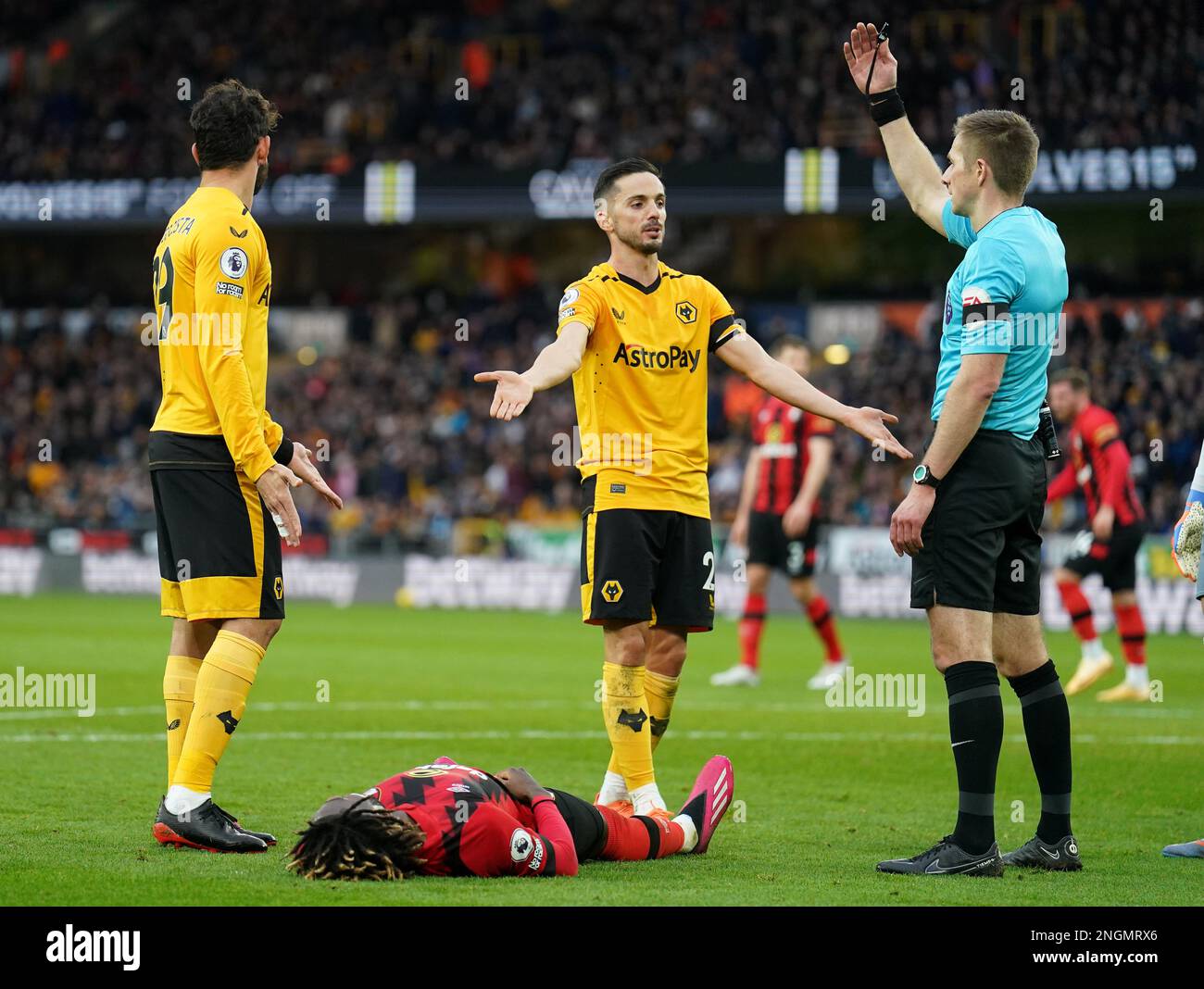 Pablo sarabia wolves hi-res stock photography and images - Alamy