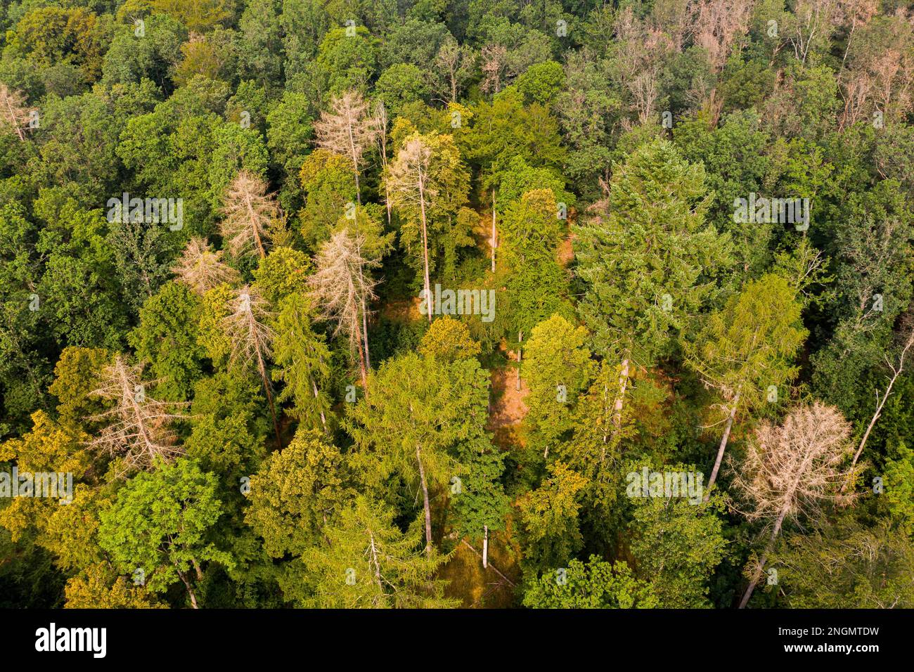 Farmland in valley forest drone hi-res stock photography and images - Alamy