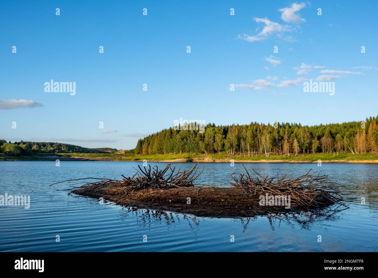 Mandelholz Dam near Elend in the Harz Mountains Stock Photo - Alamy