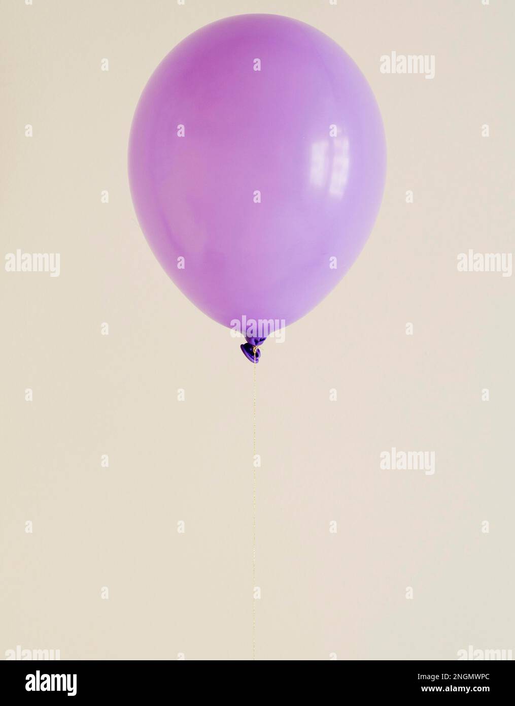 purple balloon with . High resolution photo Stock Photo - Alamy