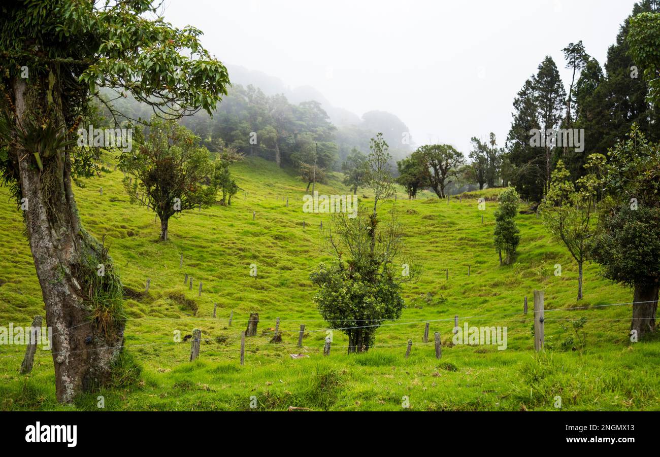 beautiful costa rican countryside with rich green hills Stock Photo - Alamy