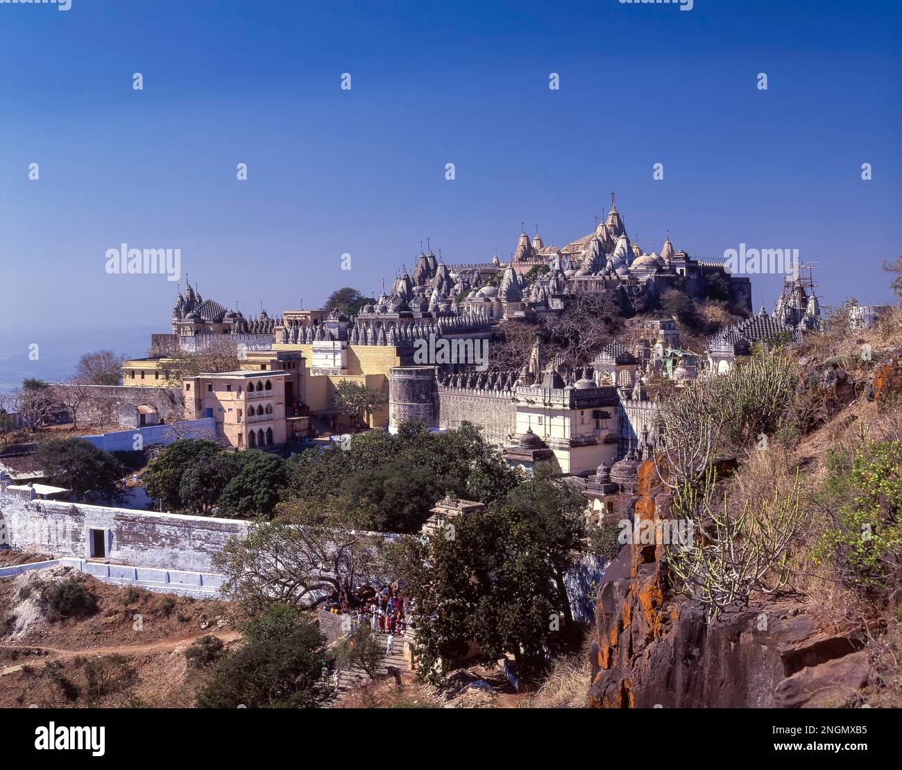 Mecca for the Jains, Palitana Jain temples in Shatrunjaya hill, Gujarat ...