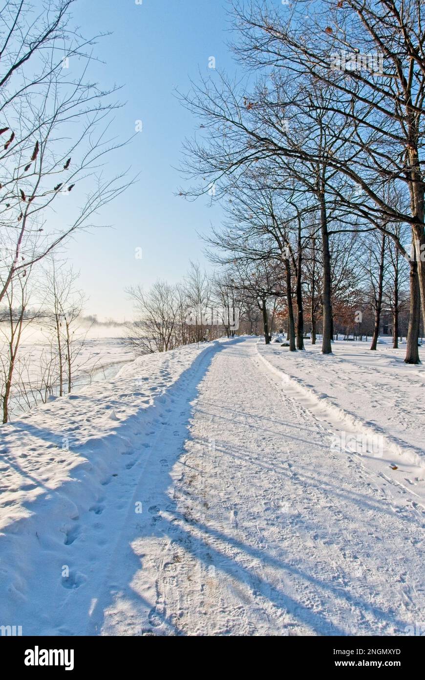 Winter scene trail along the river with trees on a sunny day. Scène ...