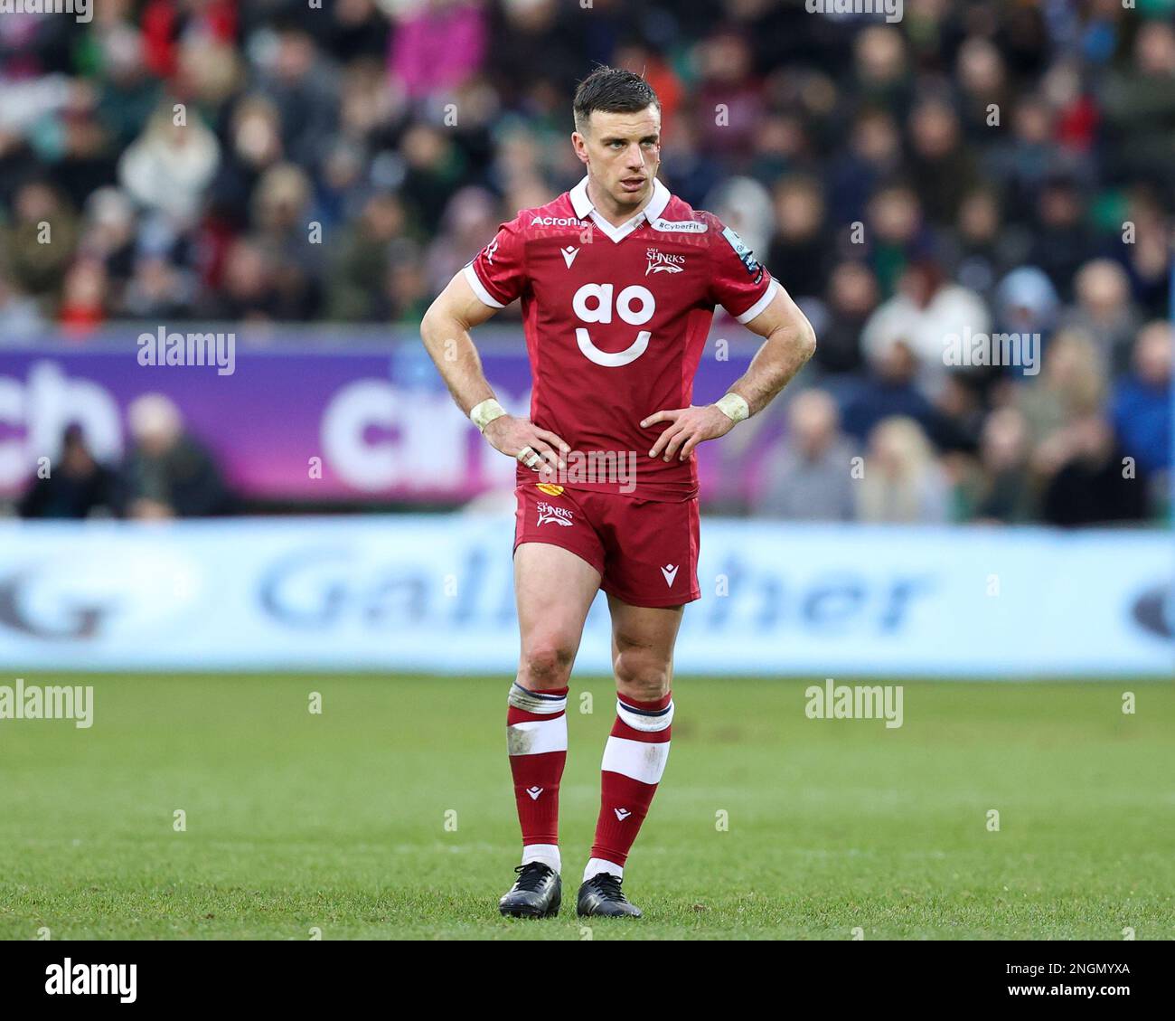George ford rugby sharks hi-res stock photography and images - Alamy